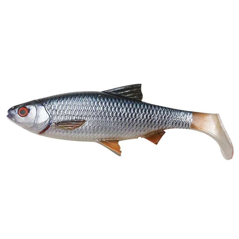 4D River Roach – Irish Bait & Tackle Ltd